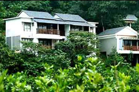 Immerse Yourself in Serenity: Exploring the Top Nature Resorts in Wayanad