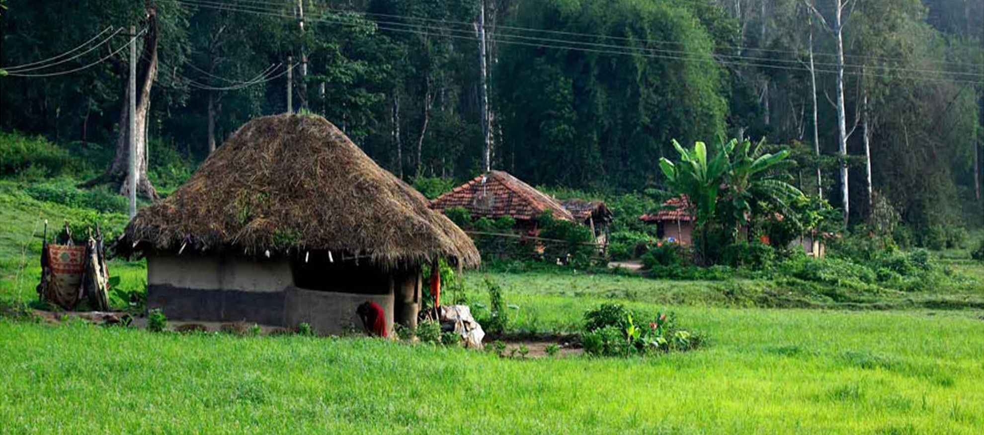 Top Tourist Spots in Wayanad